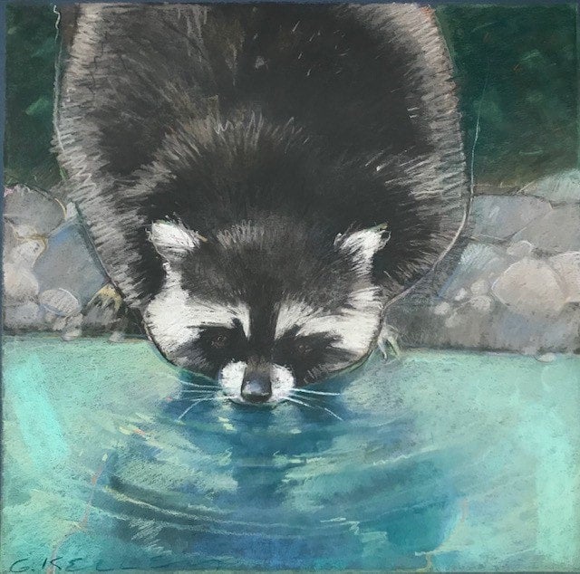 Gary Kelley Art For Sale Mutual of Omaha Raccoon | Gary Kelley Art